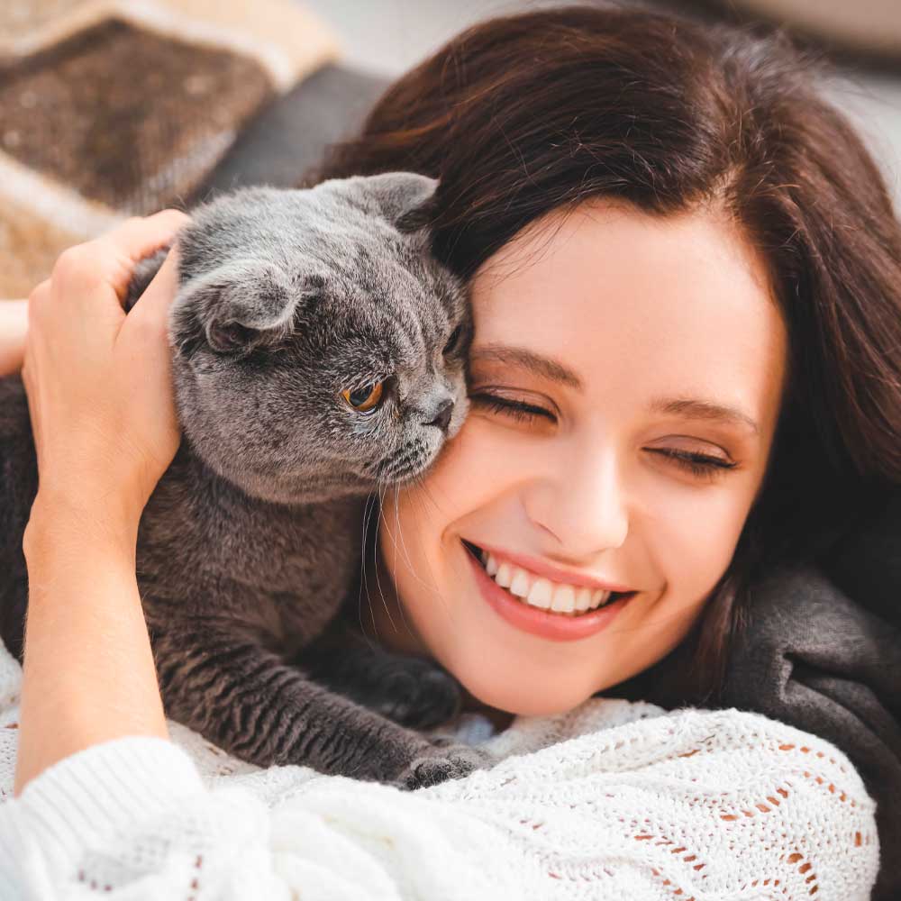 Adopter en kat → Find din nye, kærlige ven